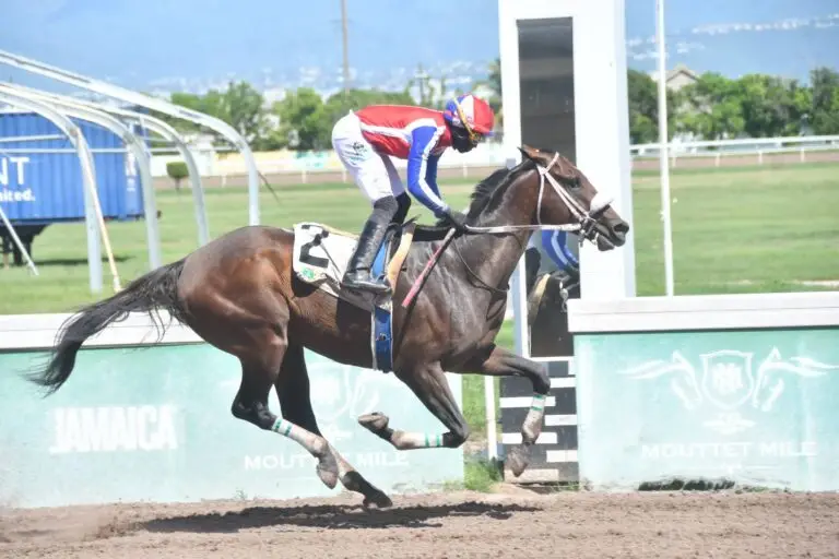 Redemption Run: Crown Chaser Eyes Comeback in Will In Charge Trophy ...